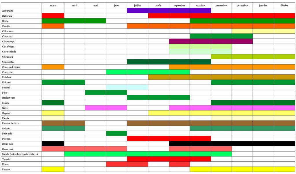 Nos légumes selon les saisons - Le Jardin du Marais
